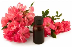Rose Damask Essential Oil | Moksha Lifestyle Products